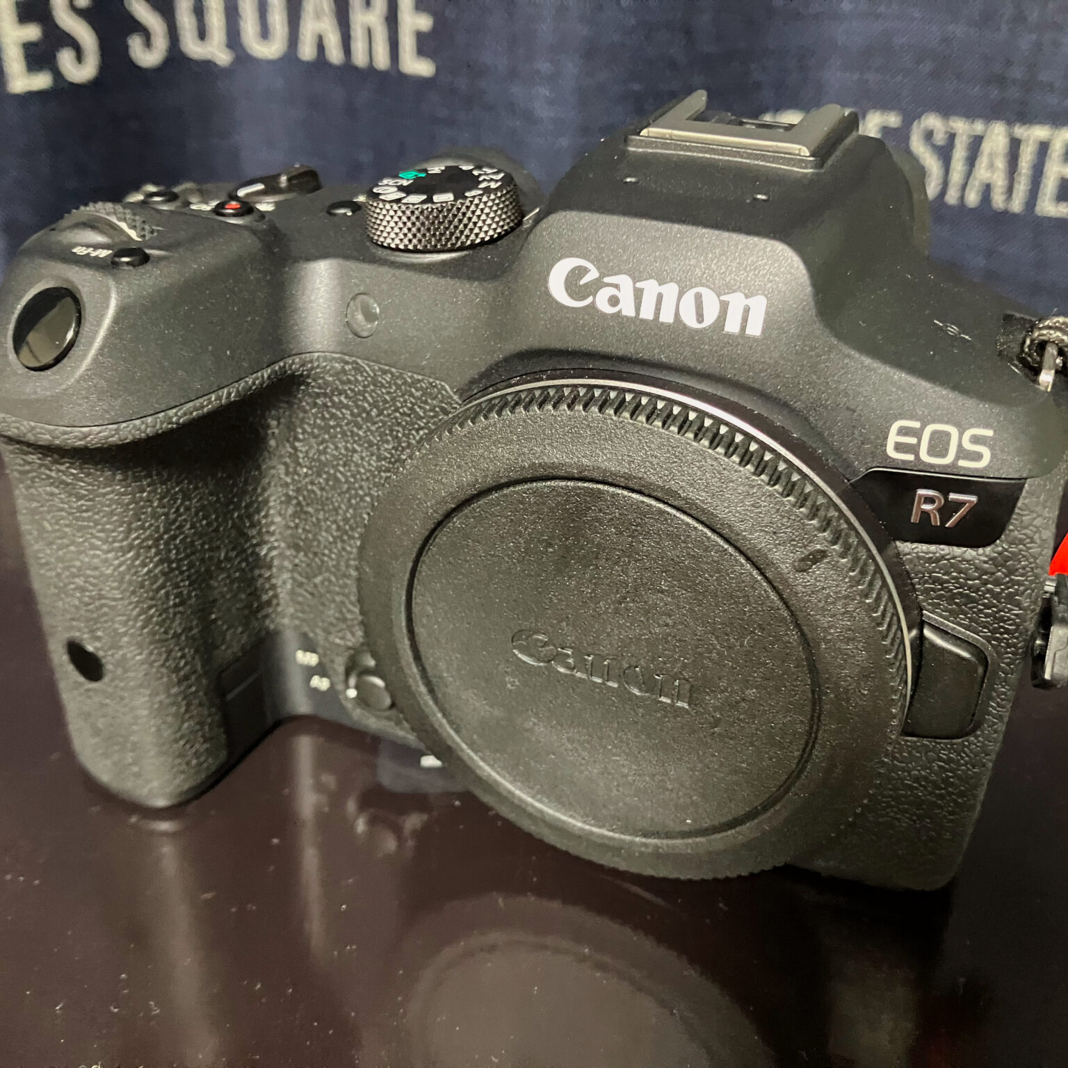 EOS R7 (Canon)ミラーレス時代を切り拓く野鳥撮影の相棒 | 勇ブログ -ISAMU-